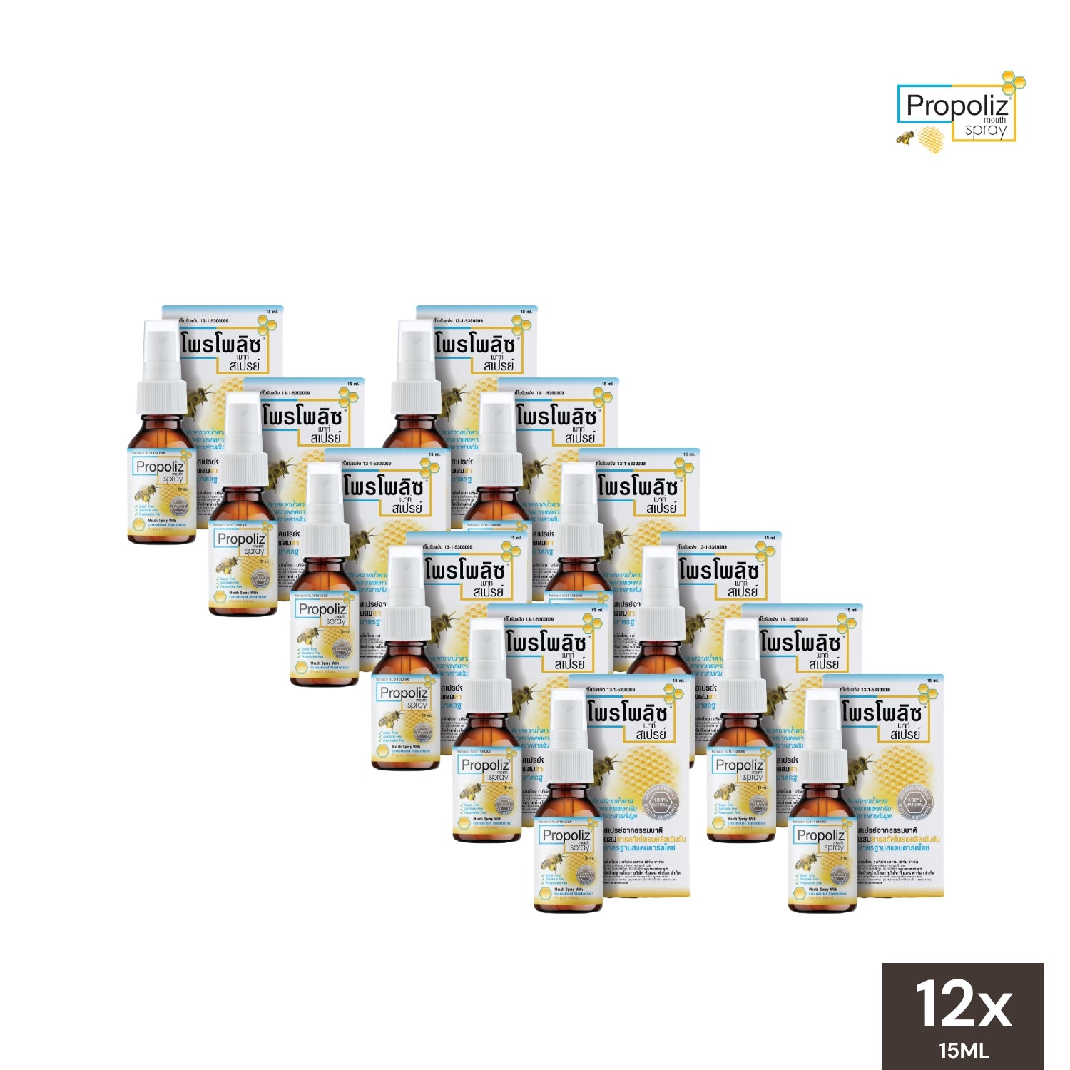 Propoliz Throat Spray for Adults 15mL - Wholesale (12 Bottles) I ...